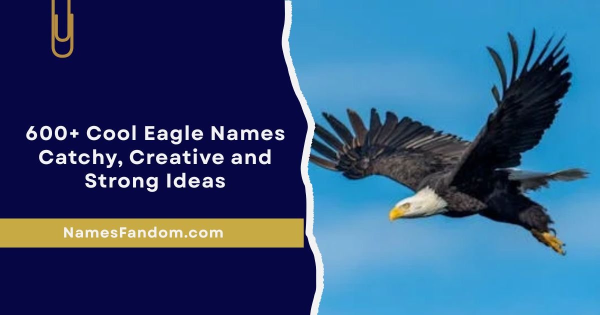 600+ Cool Eagle Names: Catchy, Creative and Strong Ideas